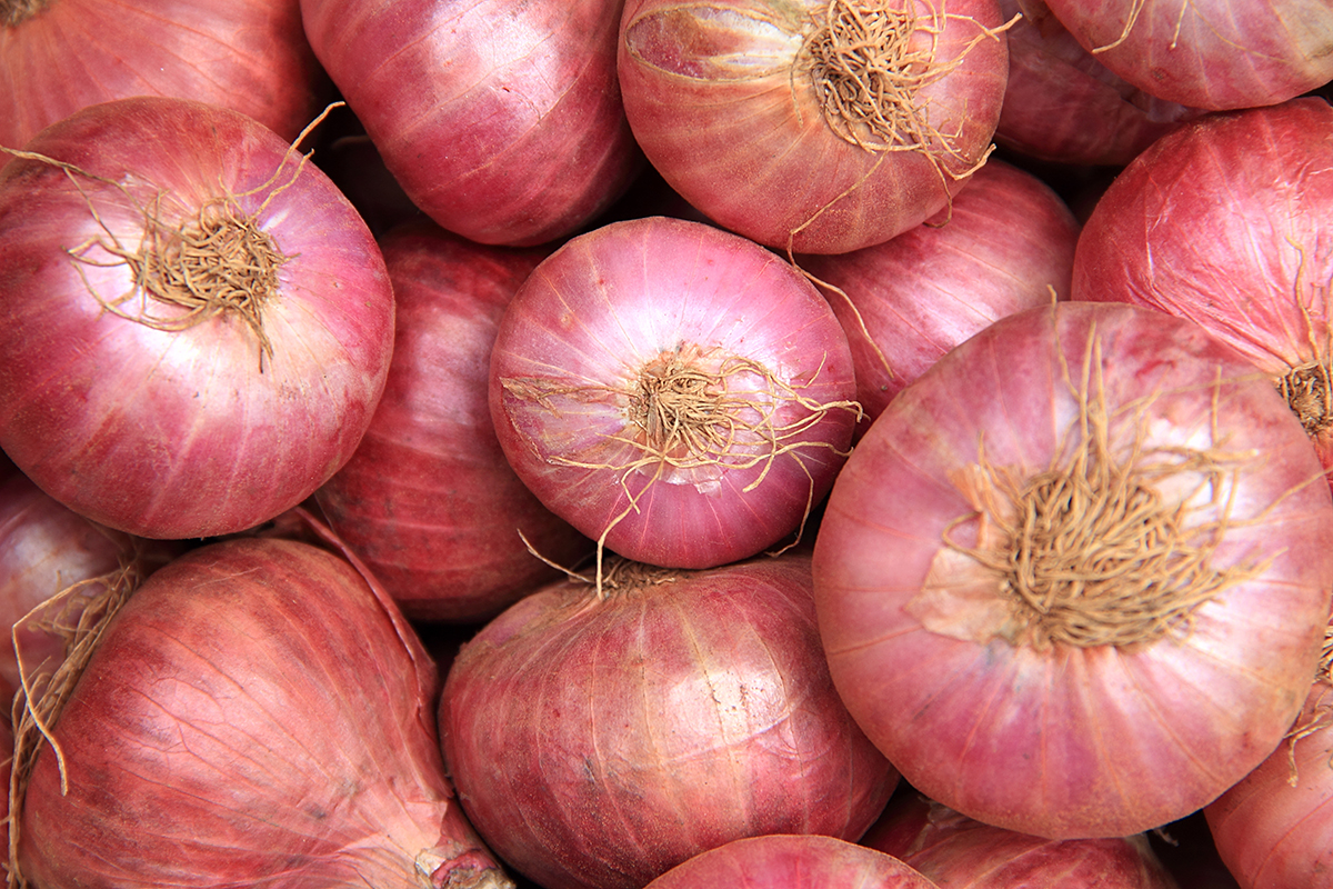 Peru exported 49,749 tons of onions in the first quarter of 2024