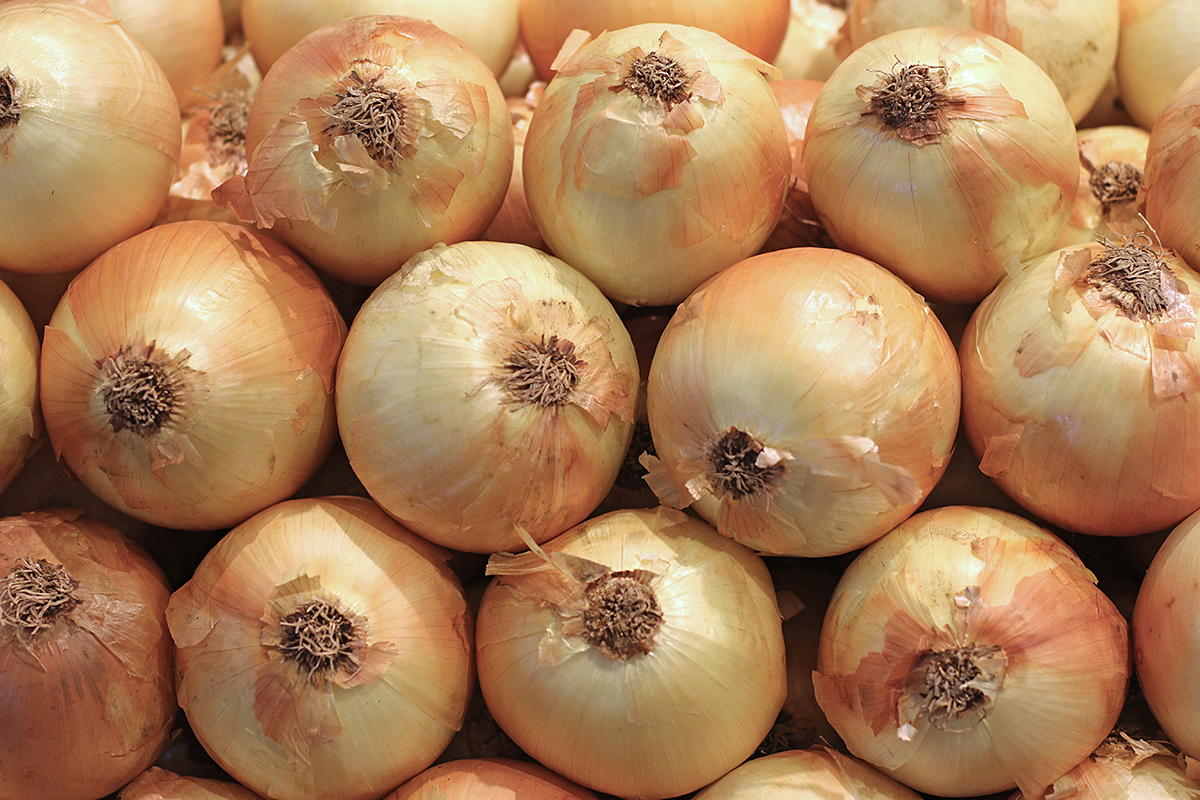 Onion prices in the Philippines to remain stable