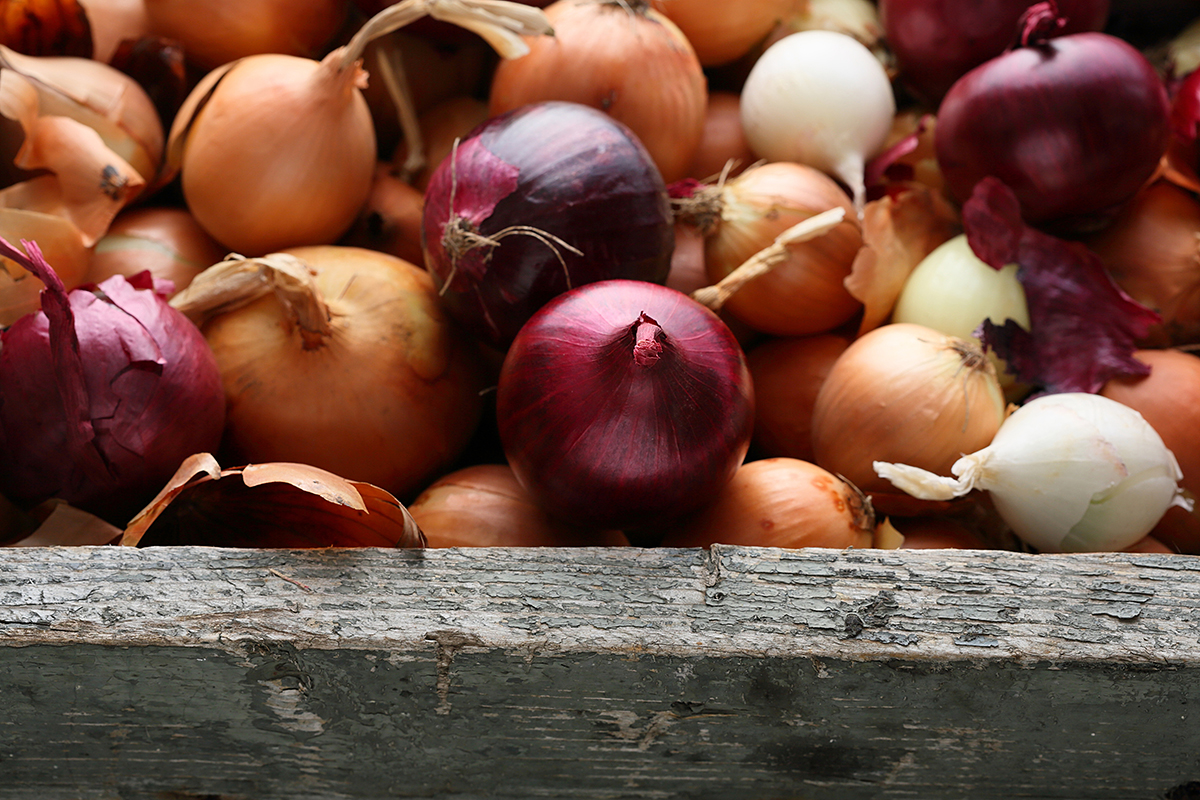 India plant uitgebreide bulkopslag van uien na succes van proefproject ...