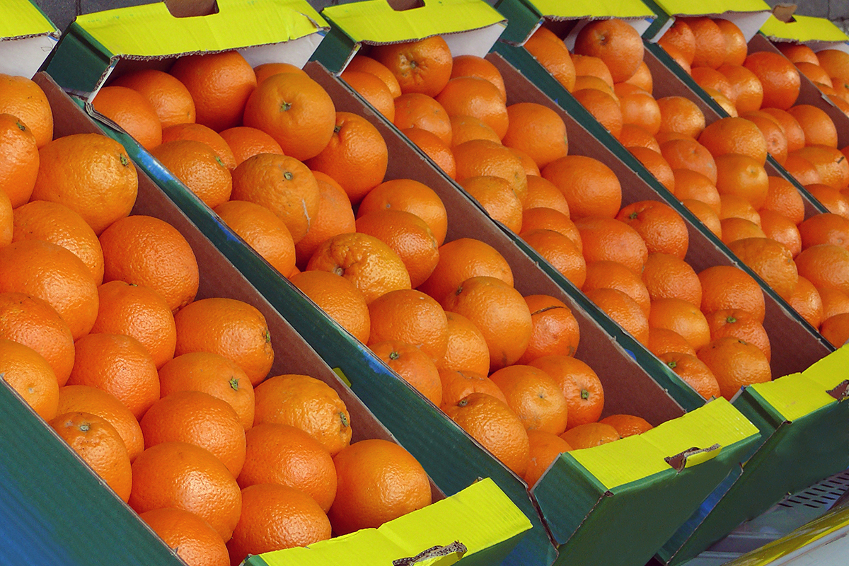 South Africa has ramped up citrus exports to the EU in recent months
