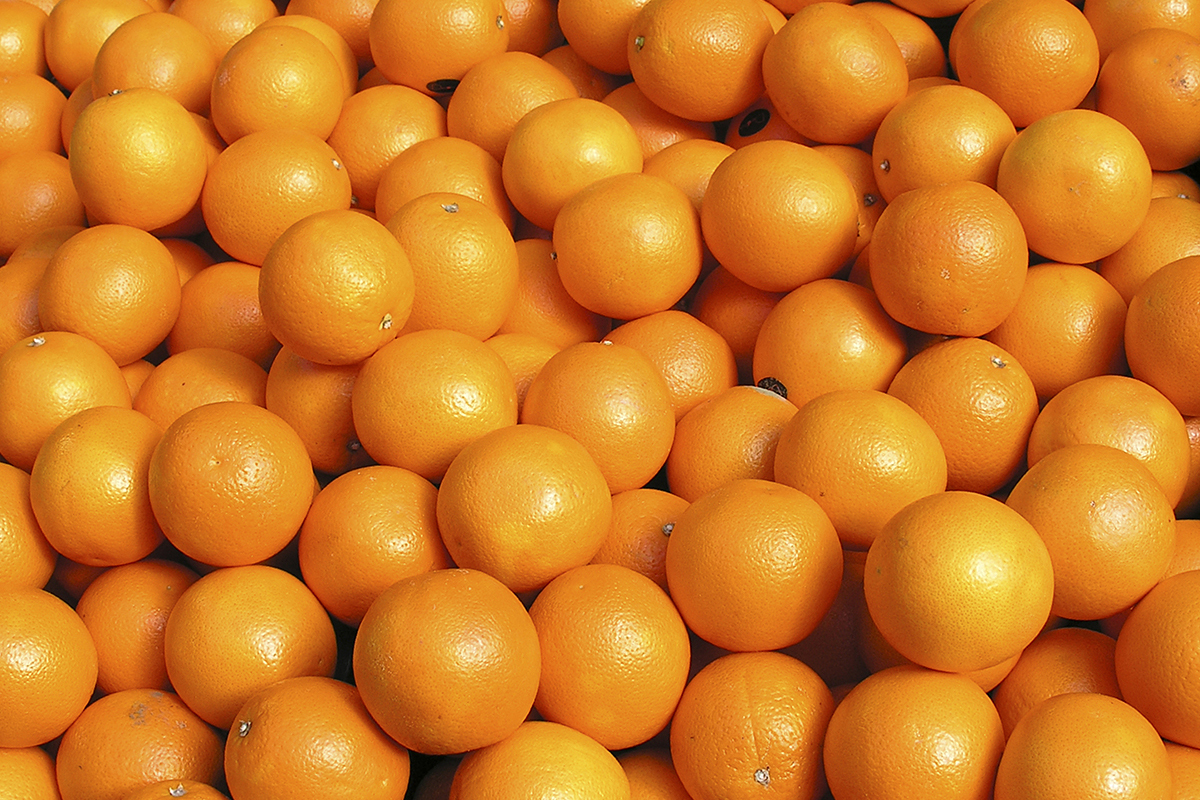 Pakistan strengthens citrus export value chain