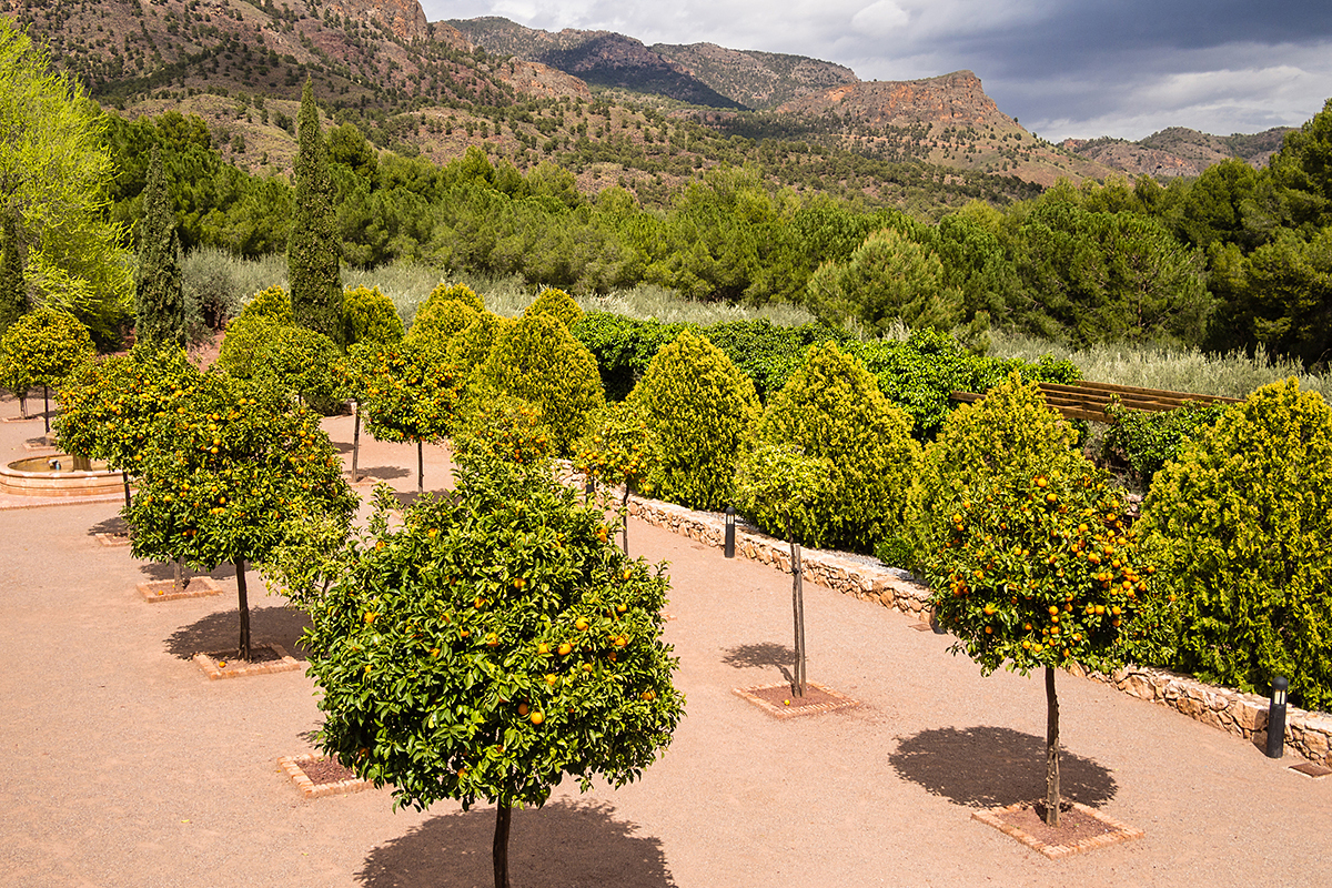Food Processors Fiji opens $635K facility in Vanua Levu