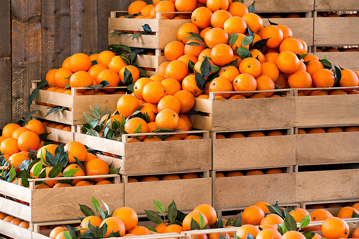Greece orange prices up 36%, Spain hits €90/100kg