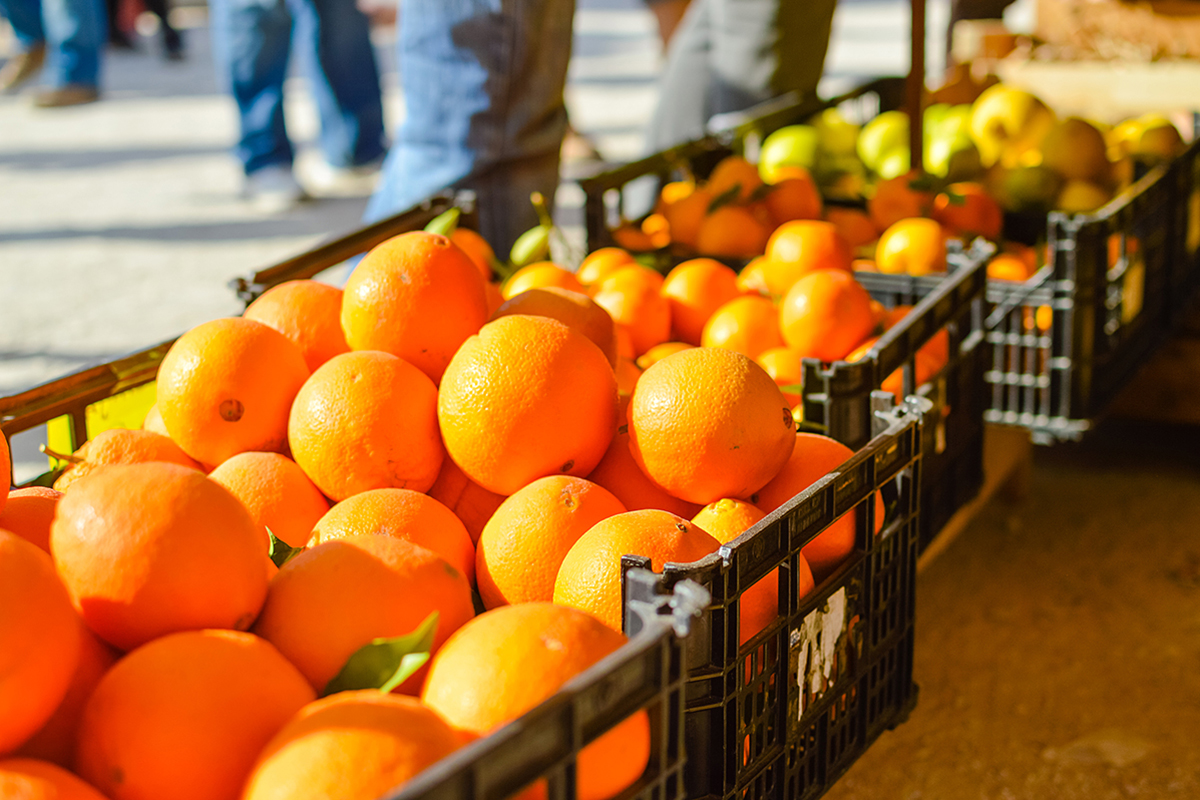 Italy leads Q1 orange prices at €141/100kg