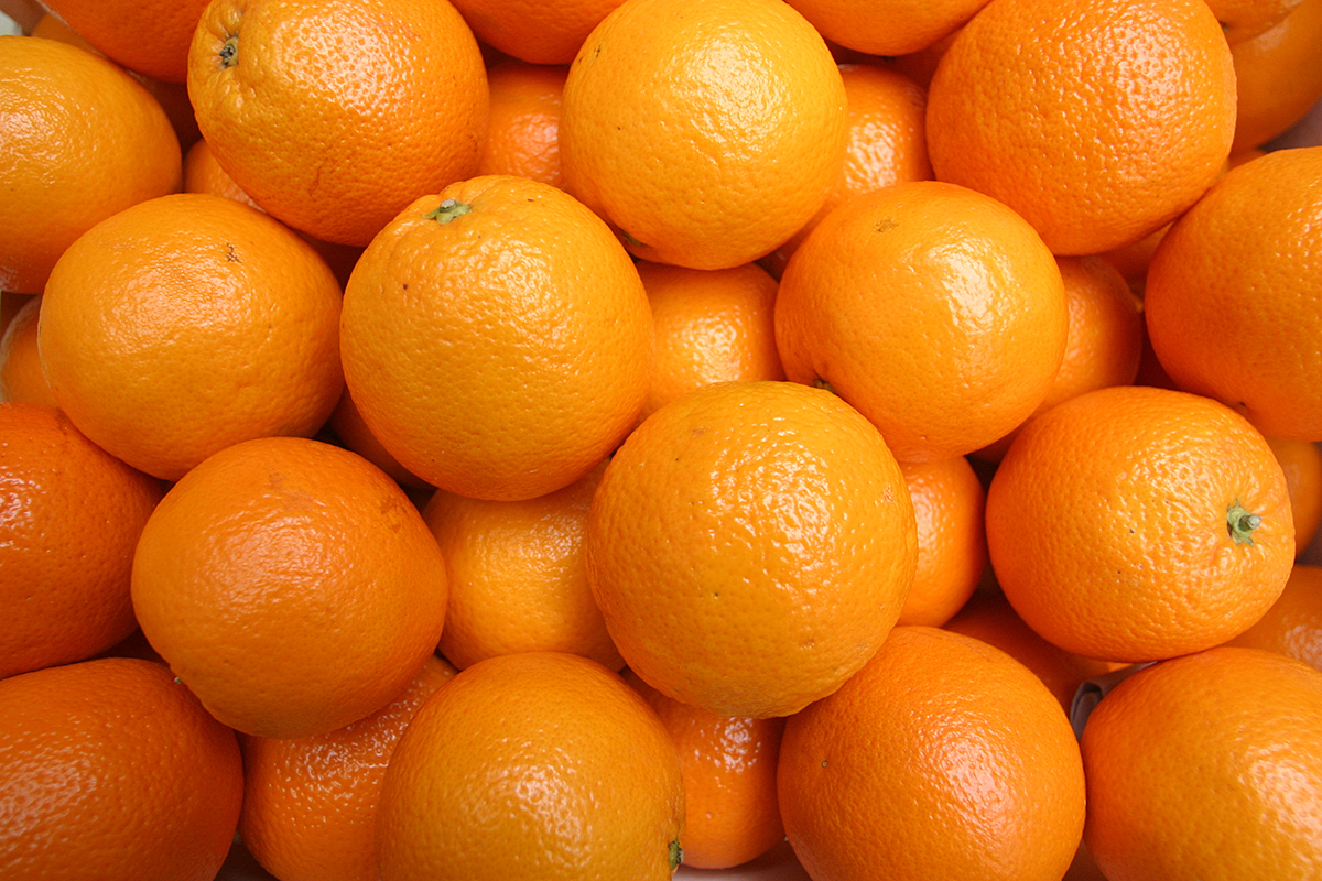 California Valencia orange forecast at 15 million cartons