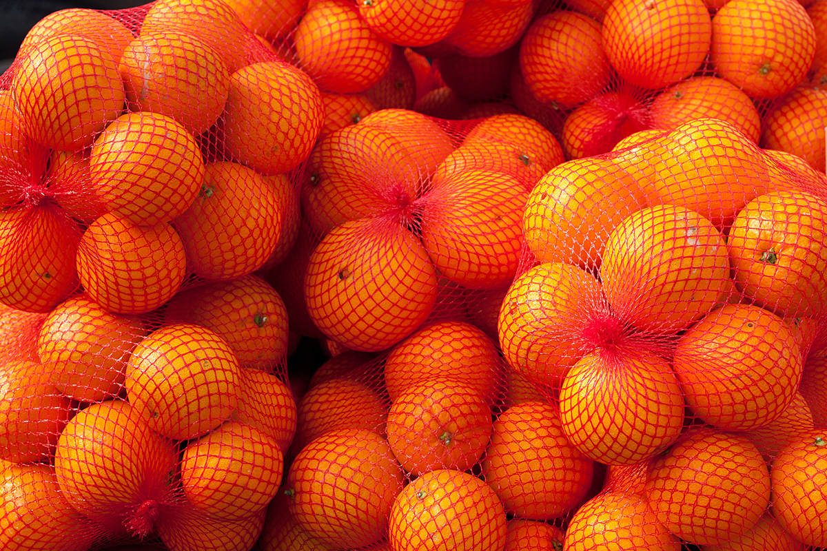 Kyrgyzstan tests feasibility of growing oranges and olives