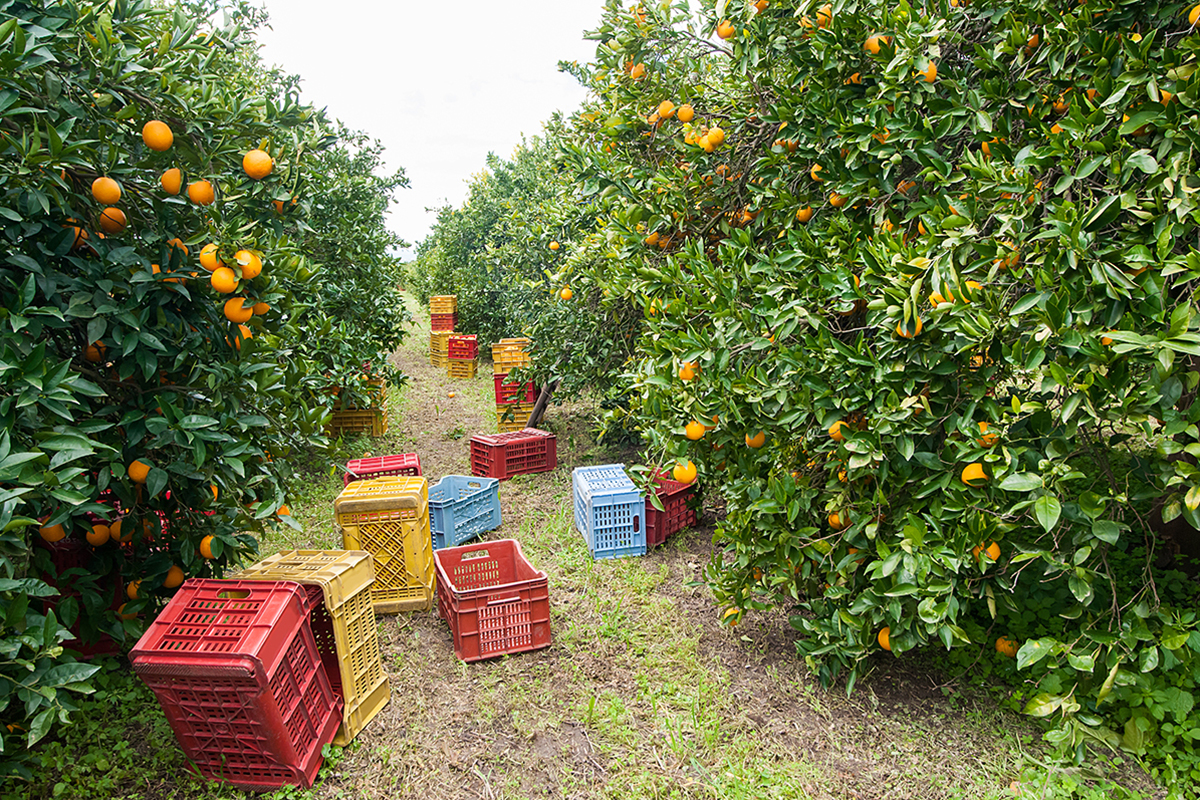 CGA addresses climate, sustainability, and logistical challenges in ...