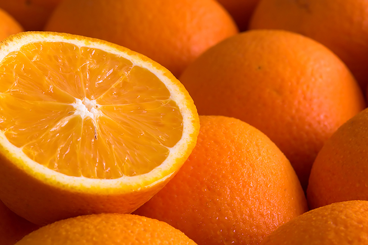Chile plans to export 11% more citrus this season