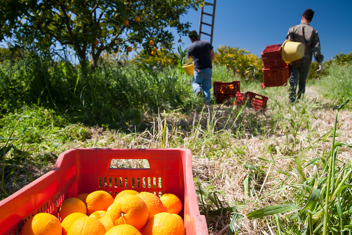 CGA calls for trade and logistics support