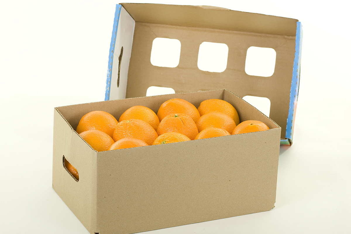 Krill Design debuts orange peel biopolymer packaging