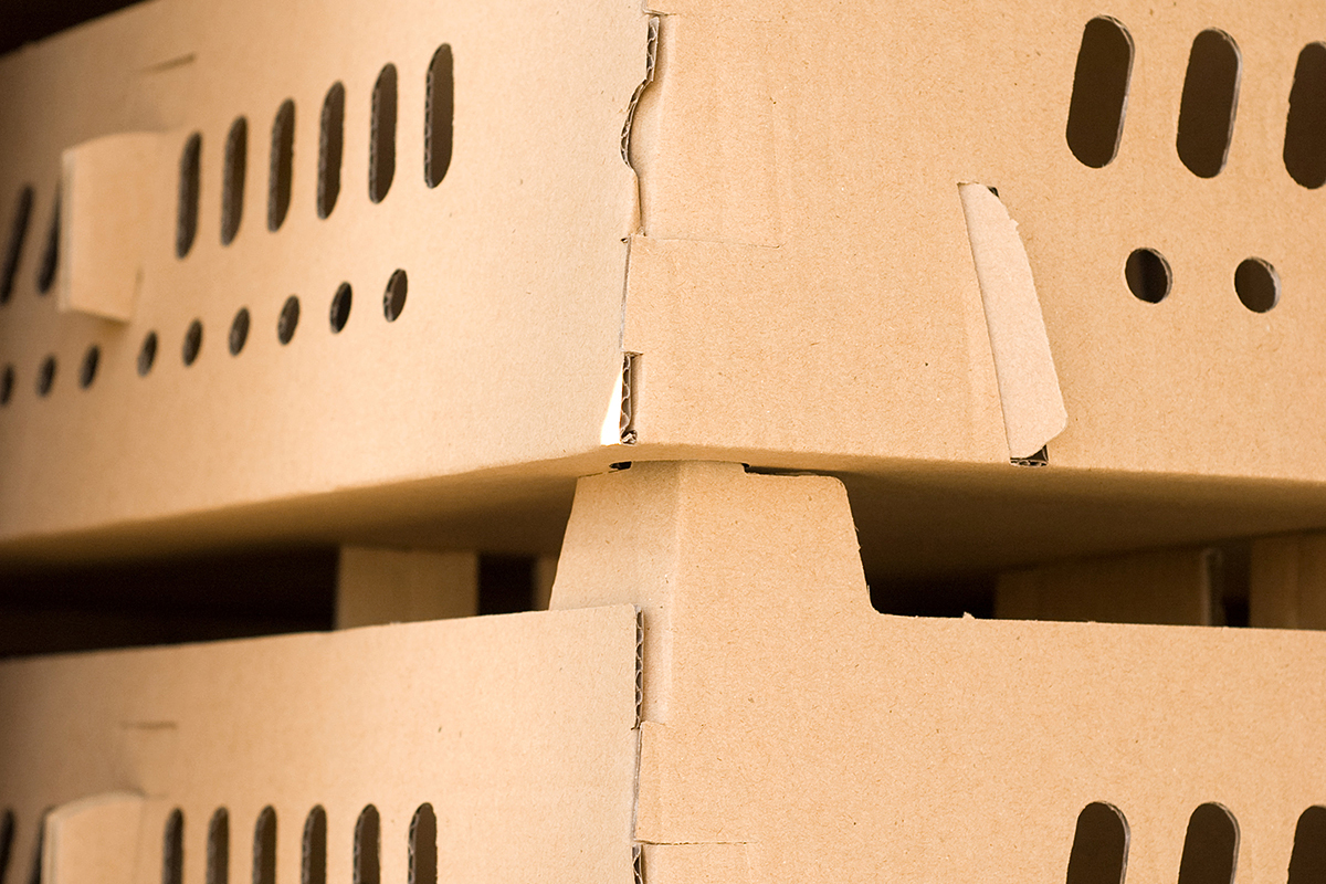 Romanian tomato sector shifts to fibre-based packaging