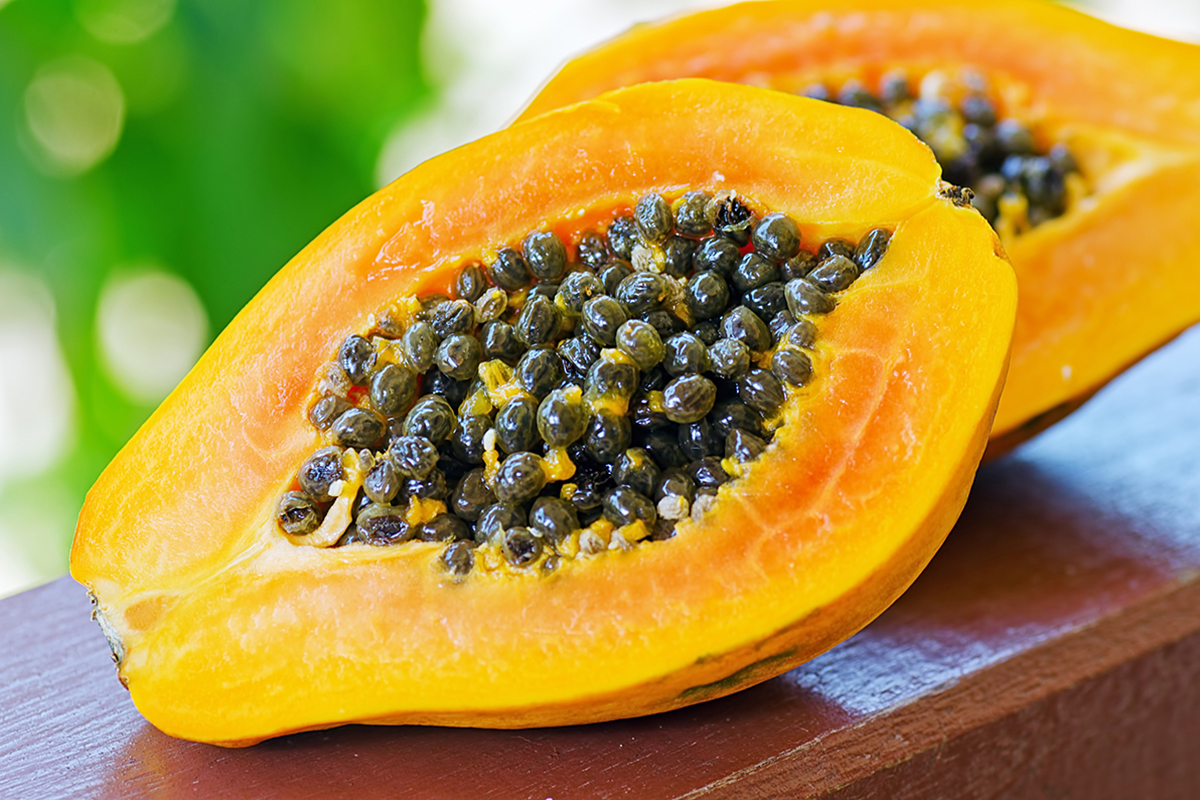 Israeli biotech explores papaya molecule for cystic fibrosis treatment