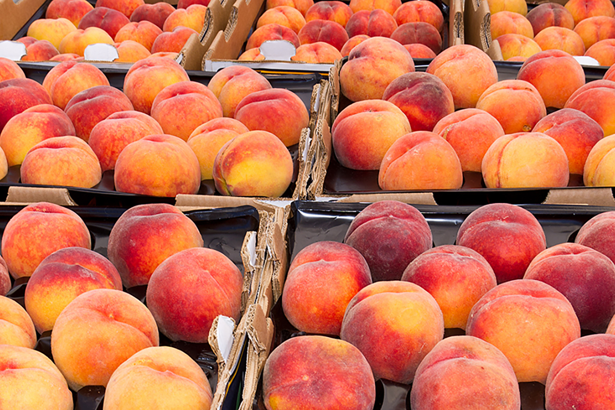 Del Monte cannery closure disrupts California fruit processing sector