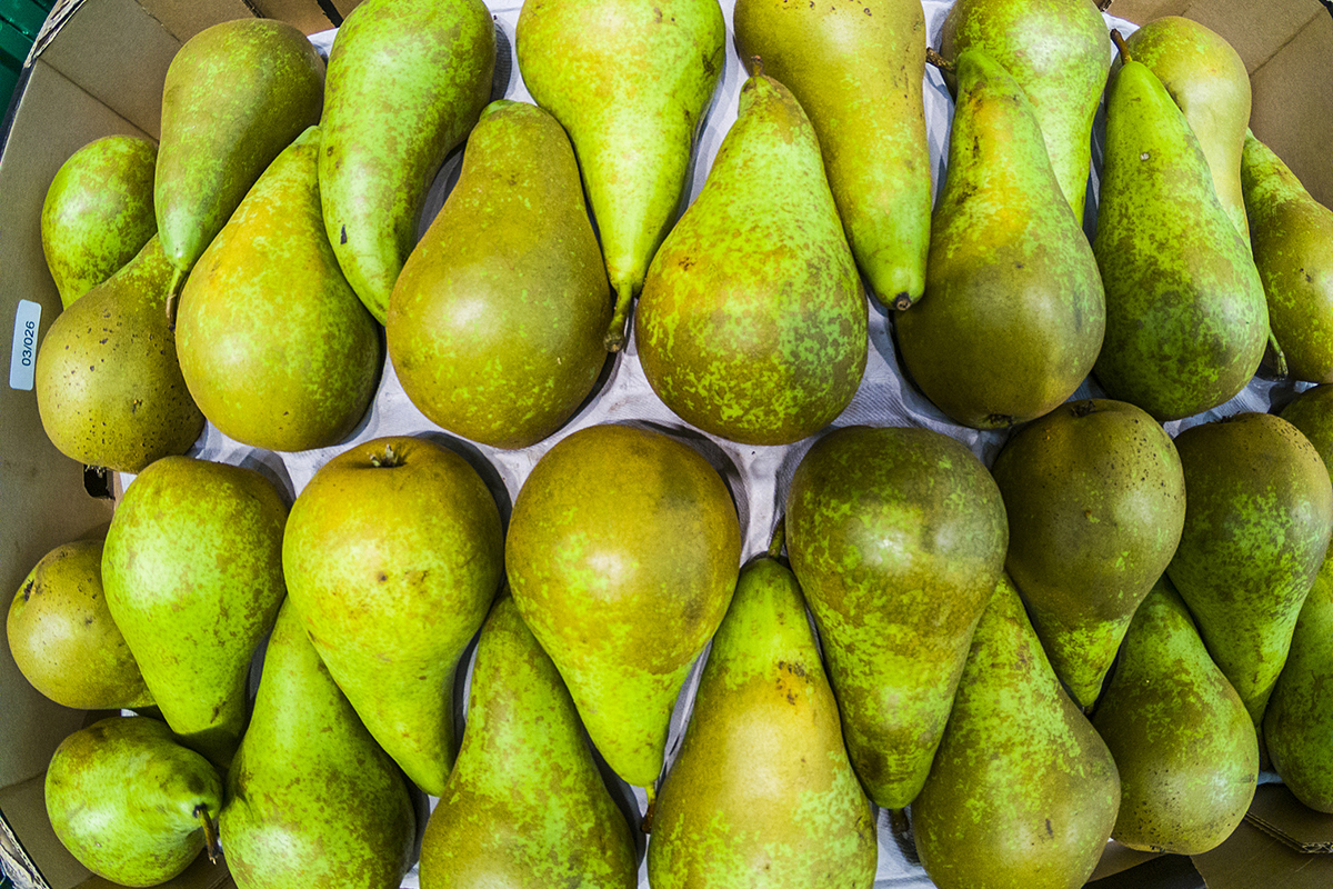 "Pear prices are fairly stable, but farmers always have to worry about ...