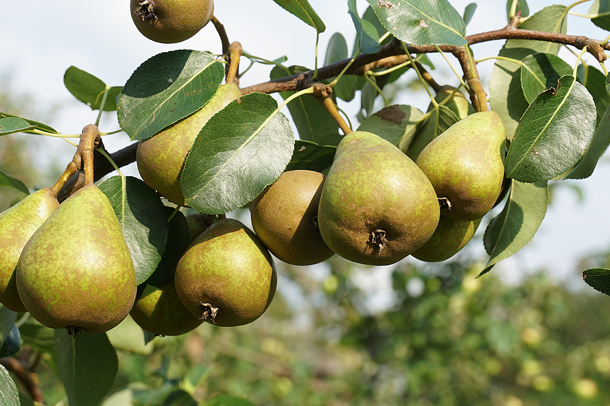 La Rioja destina 740.000 euros en ayudas para combatir el fuego ...