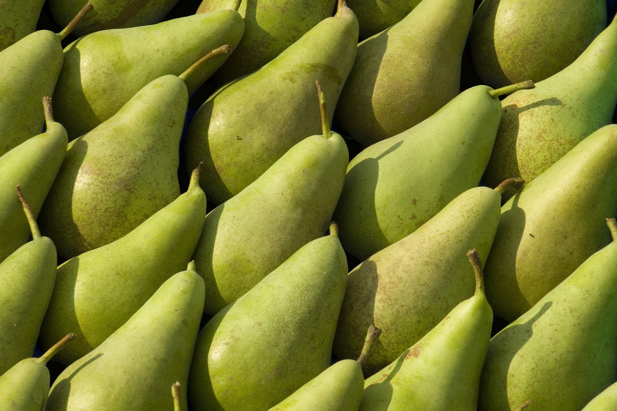 El precio de la pera se incrementa un 74% en el mercado argentino