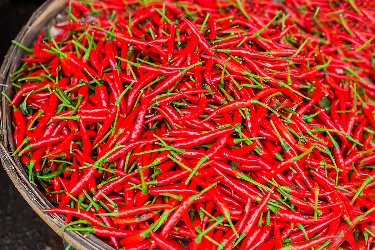 Philippines chili prices surge as rains cut supply