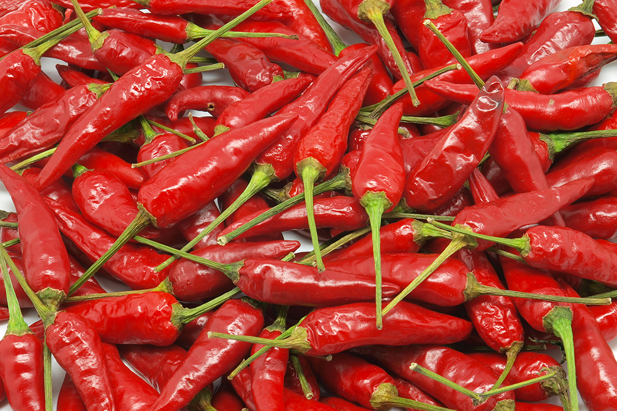 Uganda sends first Busoga chilli shipment to China