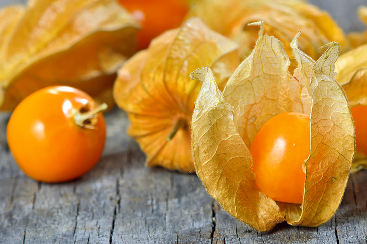 Colombian cape gooseberries are one of the exotic fruits with the ...