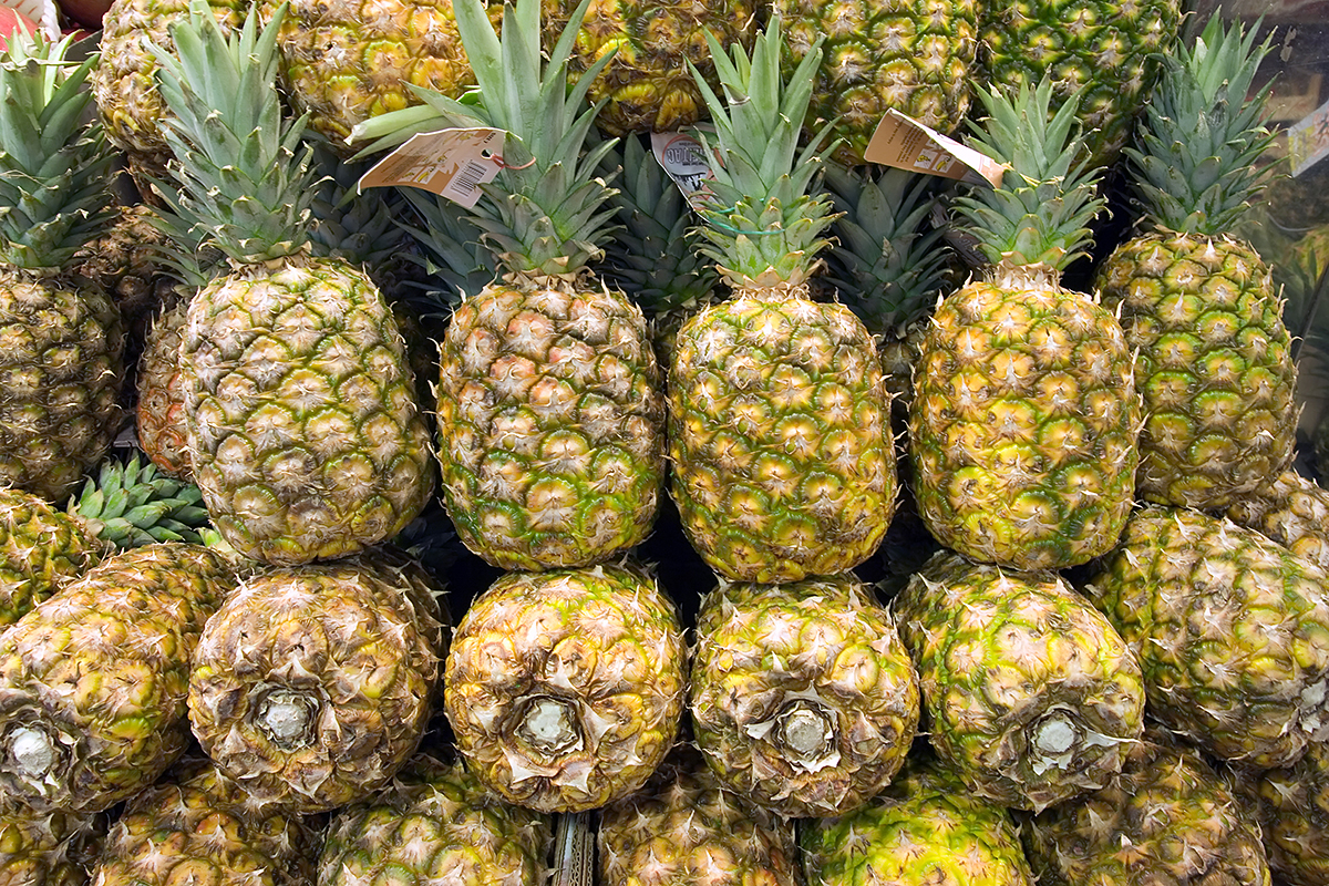 Determining the authenticity of the Antigua Black pineapple