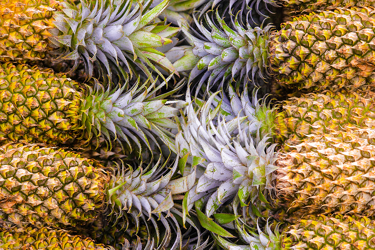 Philippine pineapple exports rise 7.5% with China as top market