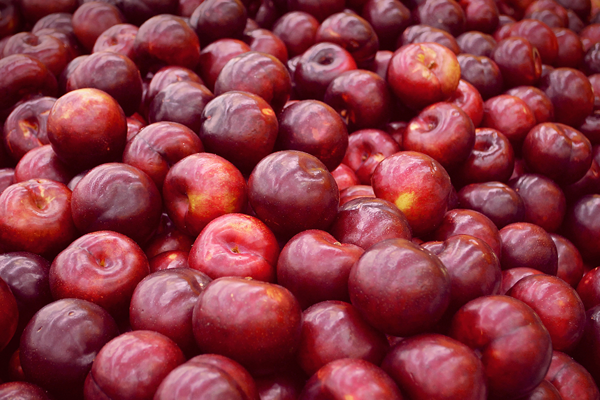 Chilean plums exports rise 40% with new Freshippo partnership in China
