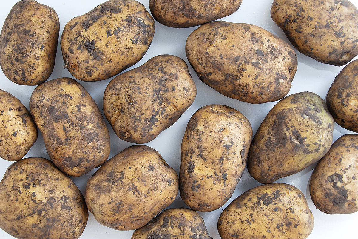 Las cotizaciones de la patata se mantienen estables en Europa salvo en ...