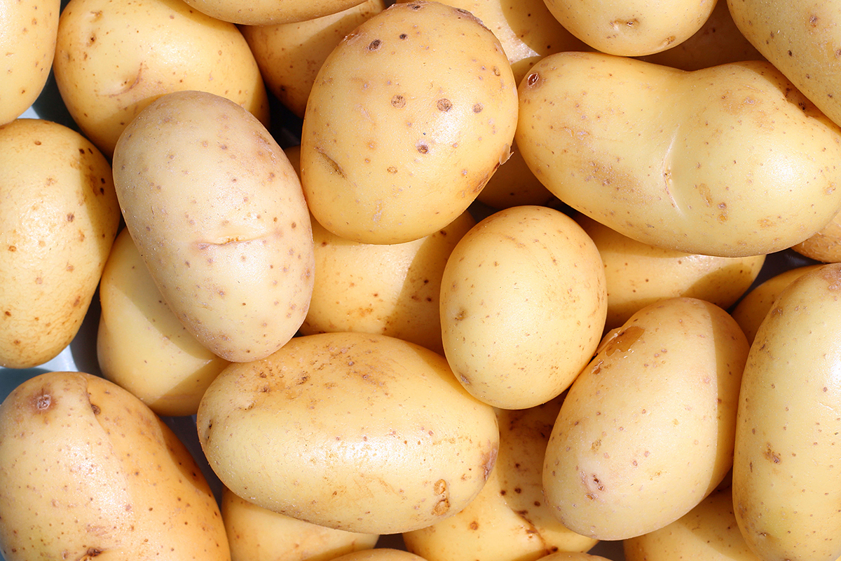 Potato exports from Georgia surge 38-fold in early 2025