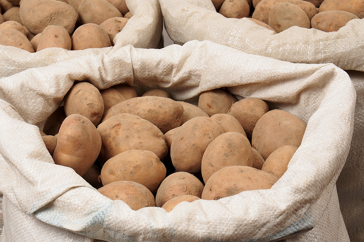 La patata inicia su cotización en León en un mercado marcado por la ...