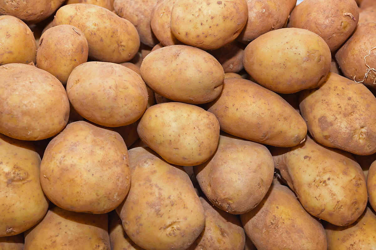 Kazakhstan’s potato imports surge 8-fold in early 2025