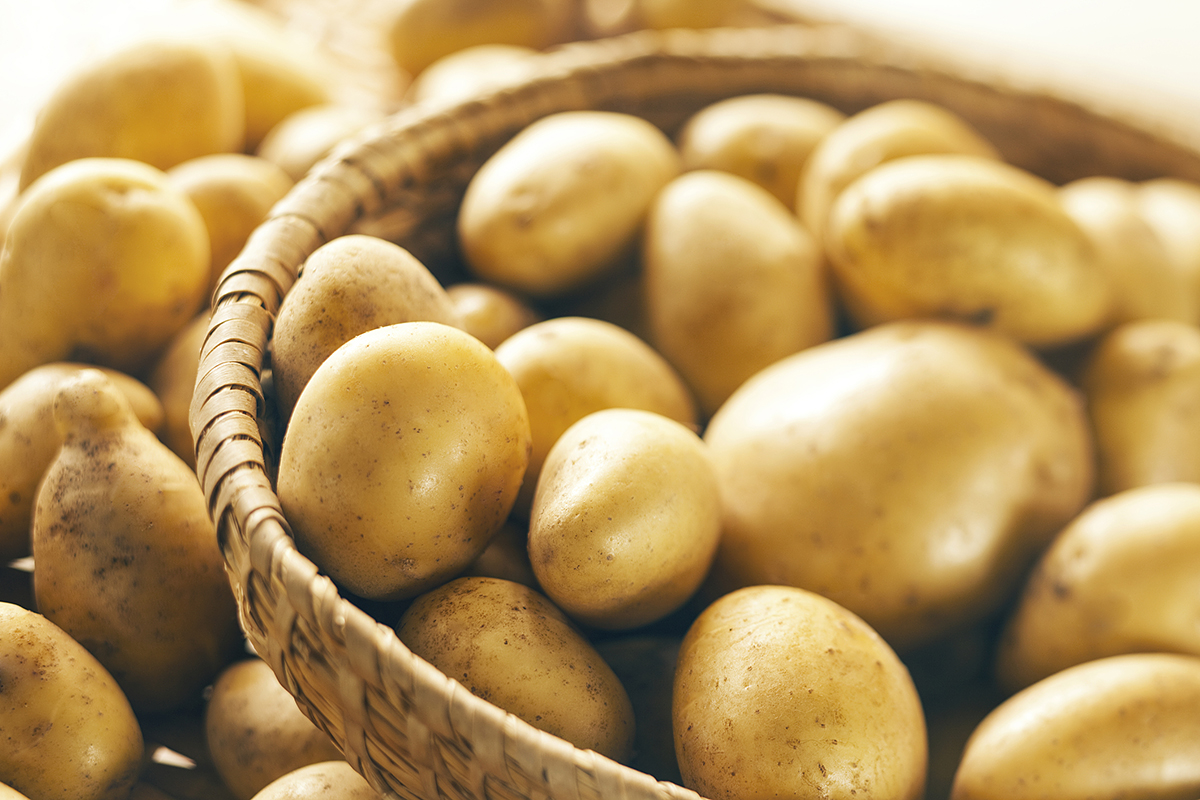 Potato bill reaches governor's desk in Colorado