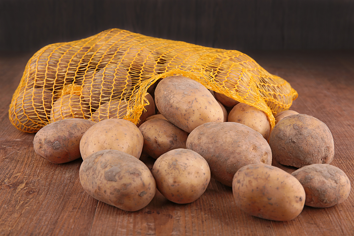 ASAJA Salamanca alerta del hundimiento de los precios de la patata