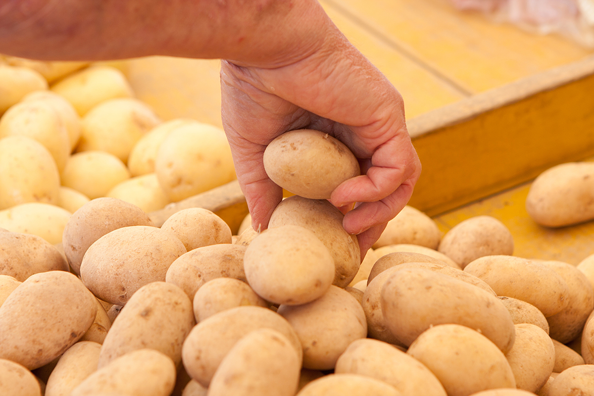 Branston launches Nanna Tate potato brand to modernize classic dishes