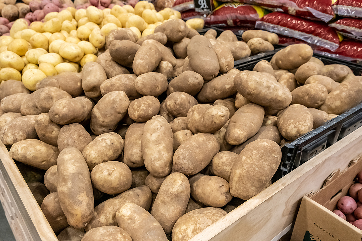 Global potato trade adjusts as prices fall and exports shift