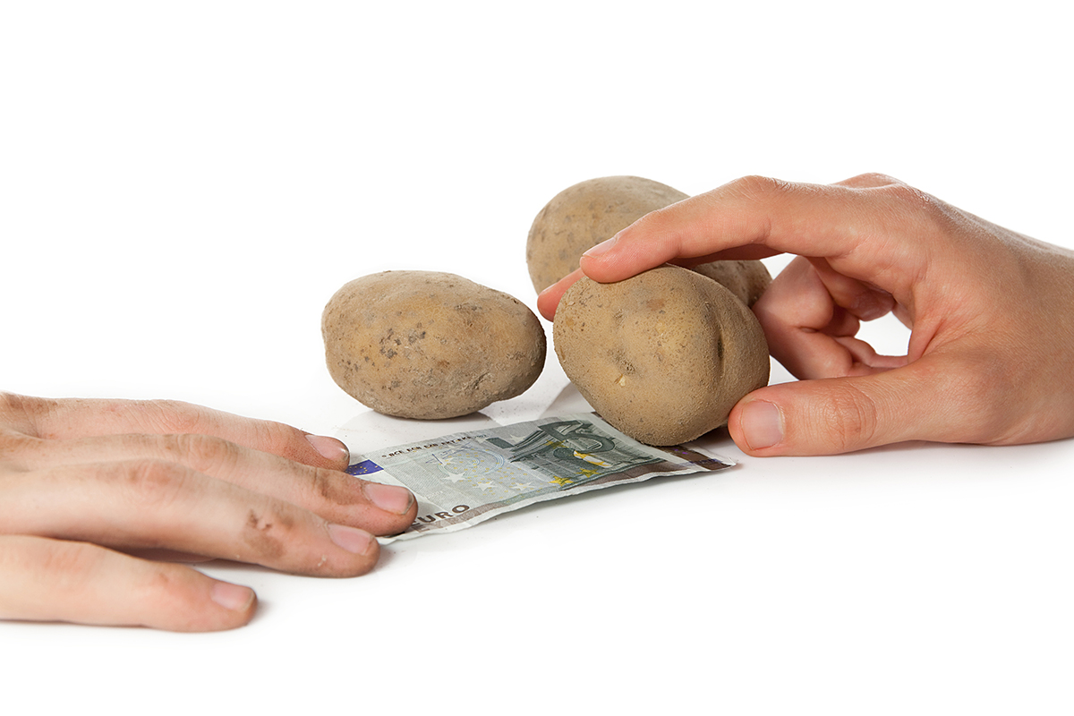 Bio Plast Pom from Poland unveils compostable material from potato starch