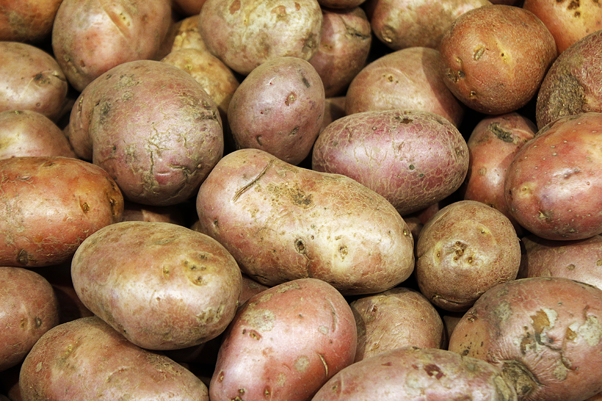 Pennsylvania chip maker celebrates 25 million pounds of ‘rescued’ potatoes