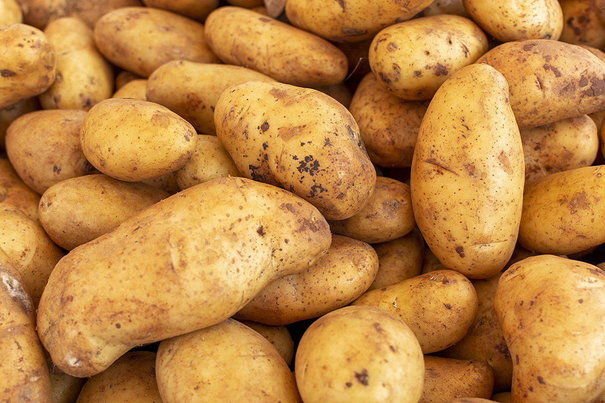 Israel faces potential potato shortage