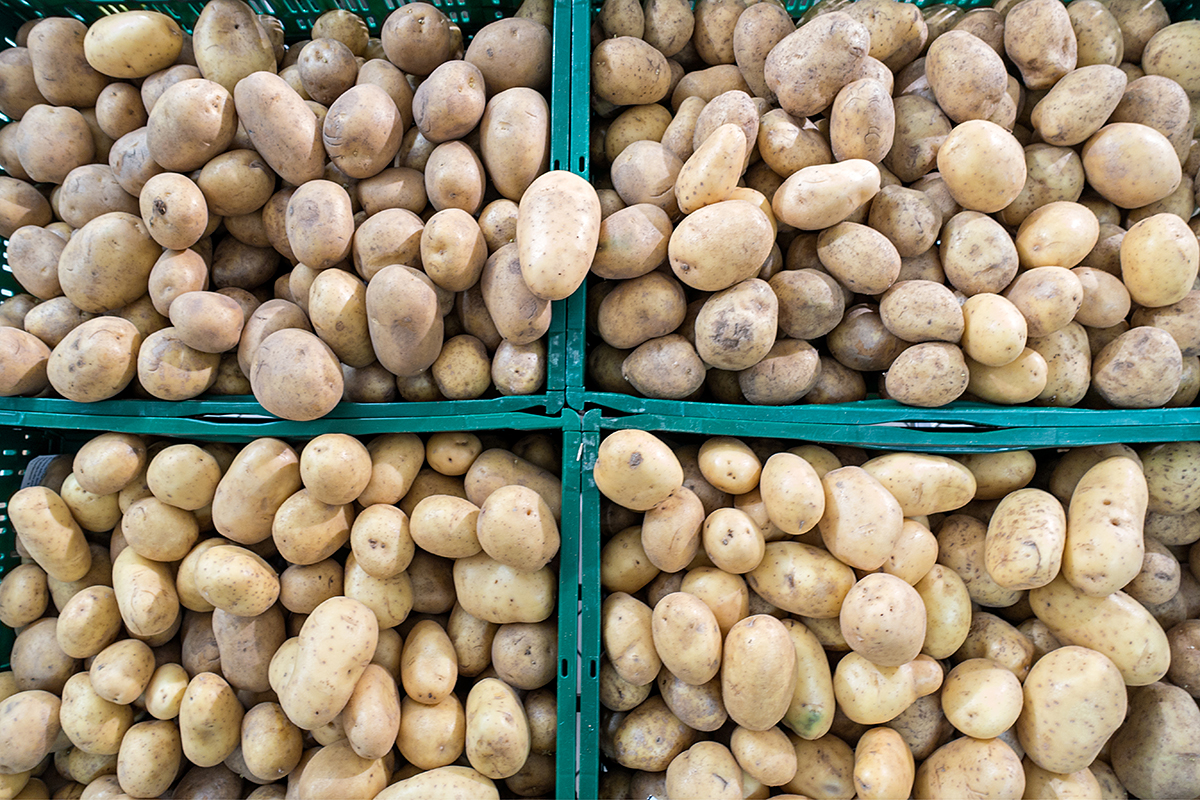 U.S. potato exports surge in UAE markets with soaring sales