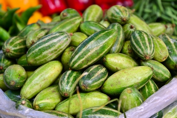 Bangladeshi pointed gourd prices fall to US$0.04/kg