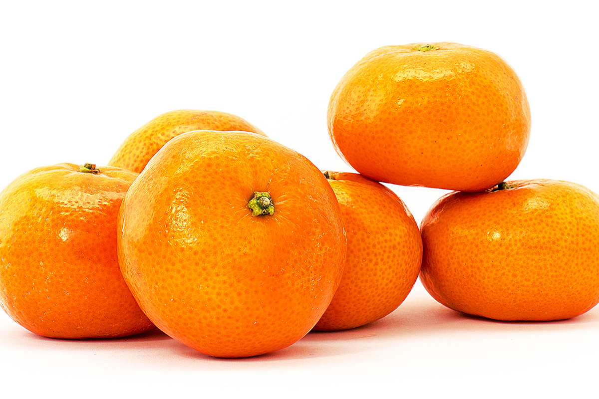 Big satsuma yield expected in Georgia