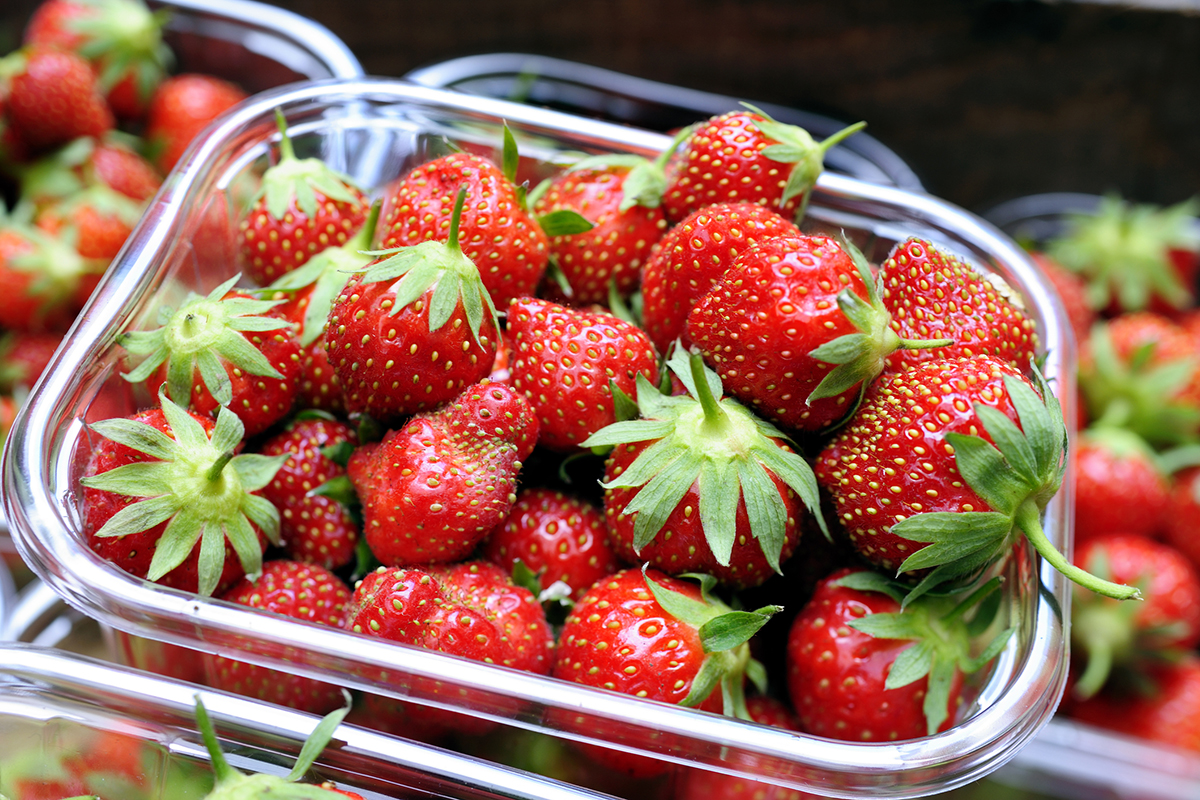 Lithuania's 2025 strawberry season begins with high prices
