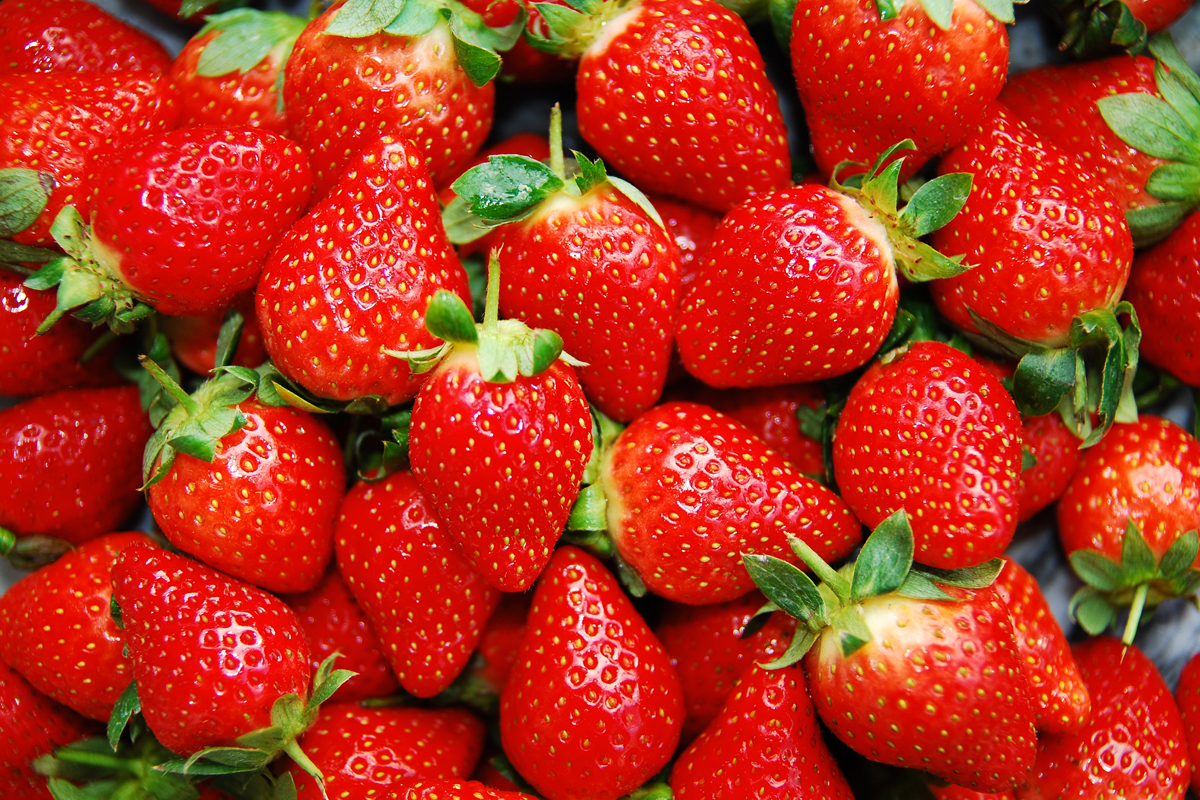 Netherlands doubles strawberry harvest despite smaller area