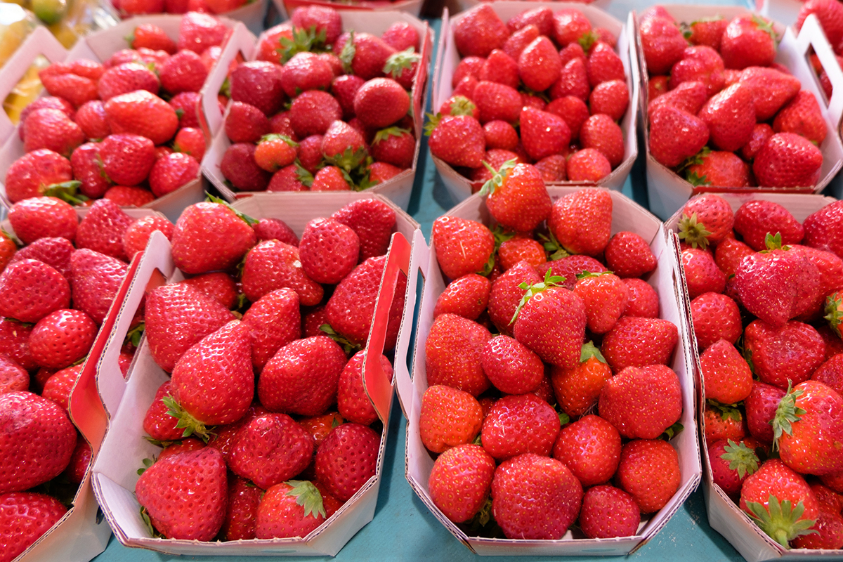 US horticultural product forecast reaches $41.5 billion in FY 2025