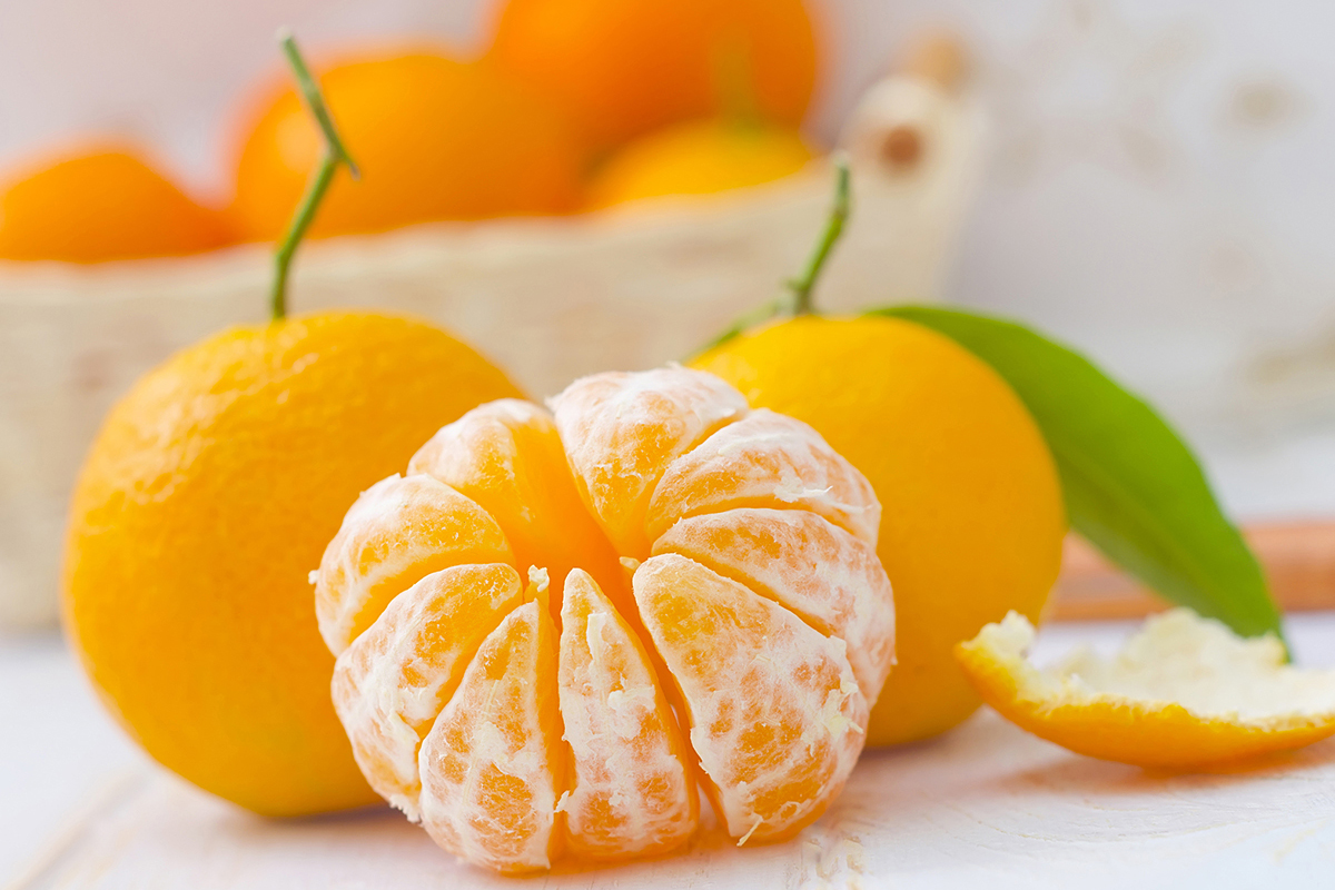 Peru is the 2nd largest mandarin exporter in the southern hemisphere