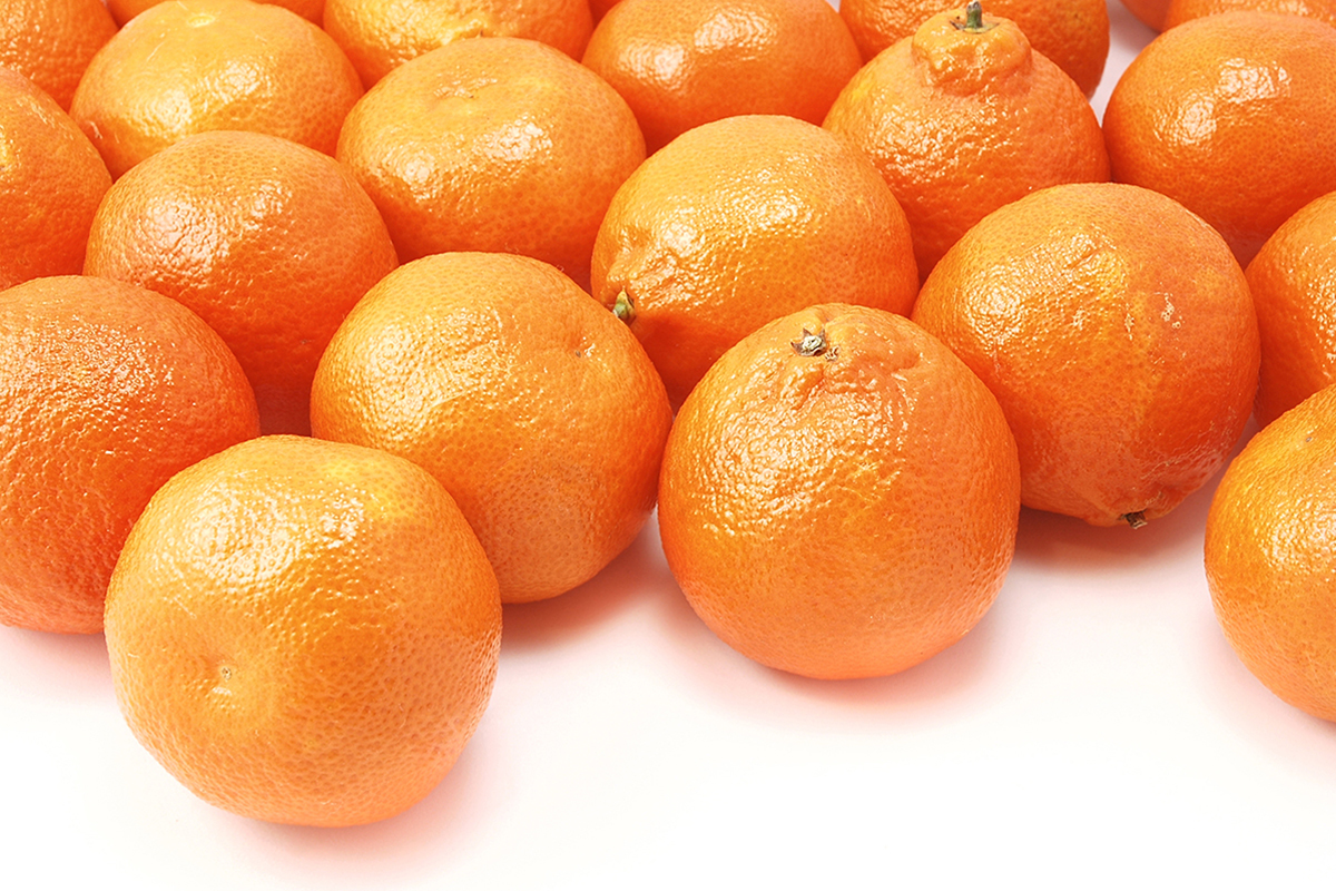 Peru exported a record volume of mandarins this year
