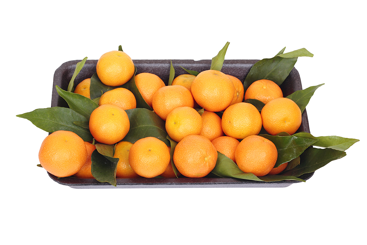 Positive balance for Peru's 2024 citrus export season