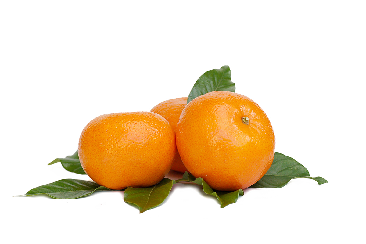 Le Tribunal de l'UE confirme la protection des mandarines de Nadorcott