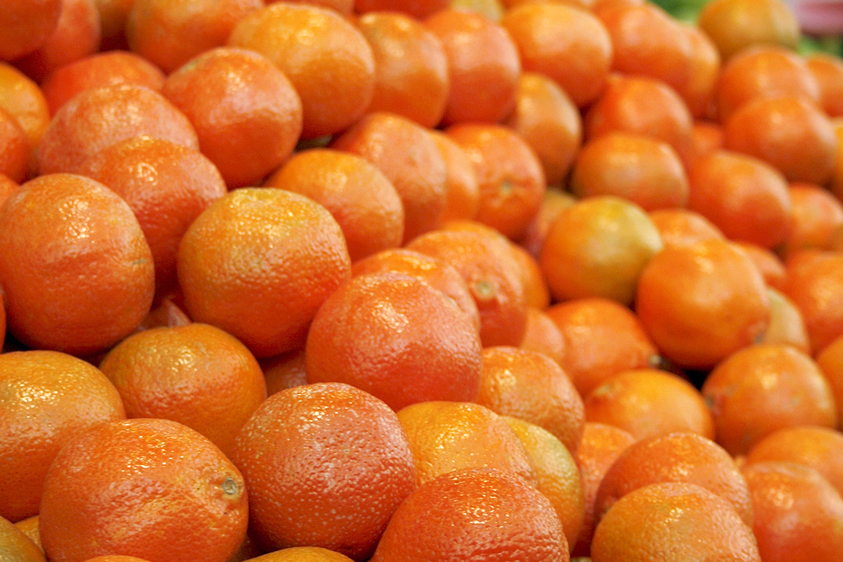 Moroccan mandarin exports up 13% with expansion