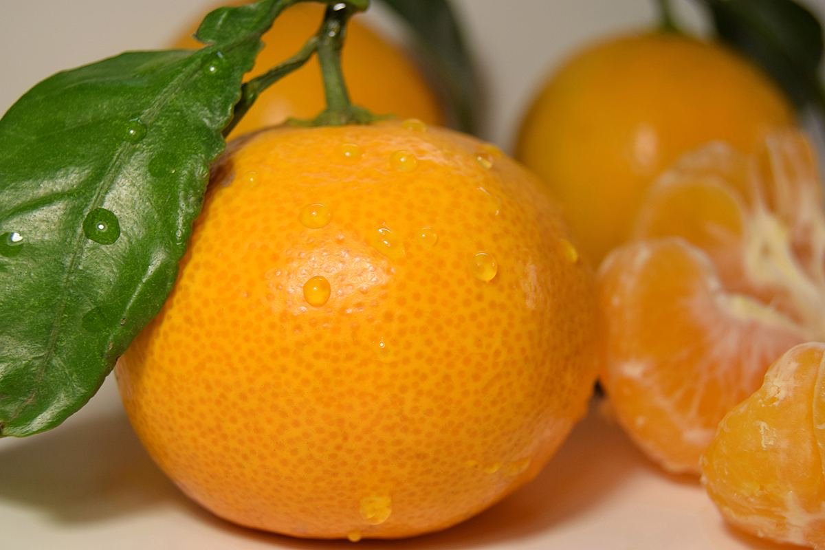 Tango mandarin becomes royalty free in the U.S.