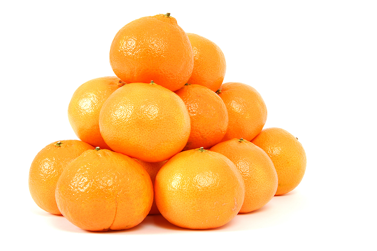 Isabelina: a new seedless Chilean mandarin variety